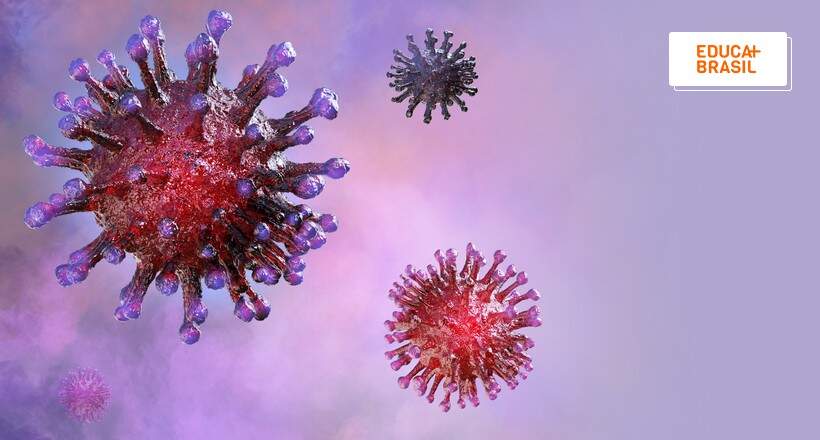 Langya henipavirus: o que é esse novo vírus identificado na China ...