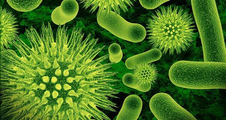 Bacteriófagos - Biologia Enem | Educa Mais Brasil