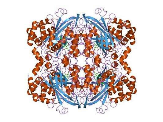 Catalase - Biologia Enem | Educa Mais Brasil