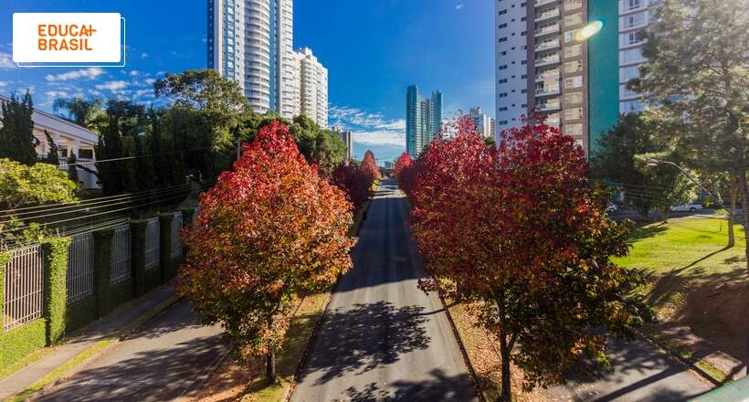 Outono 2025 começa nesta semana com previsão de clima mais estável ... Outono 2025 começa nesta semana com previsão de clima mais estável ...